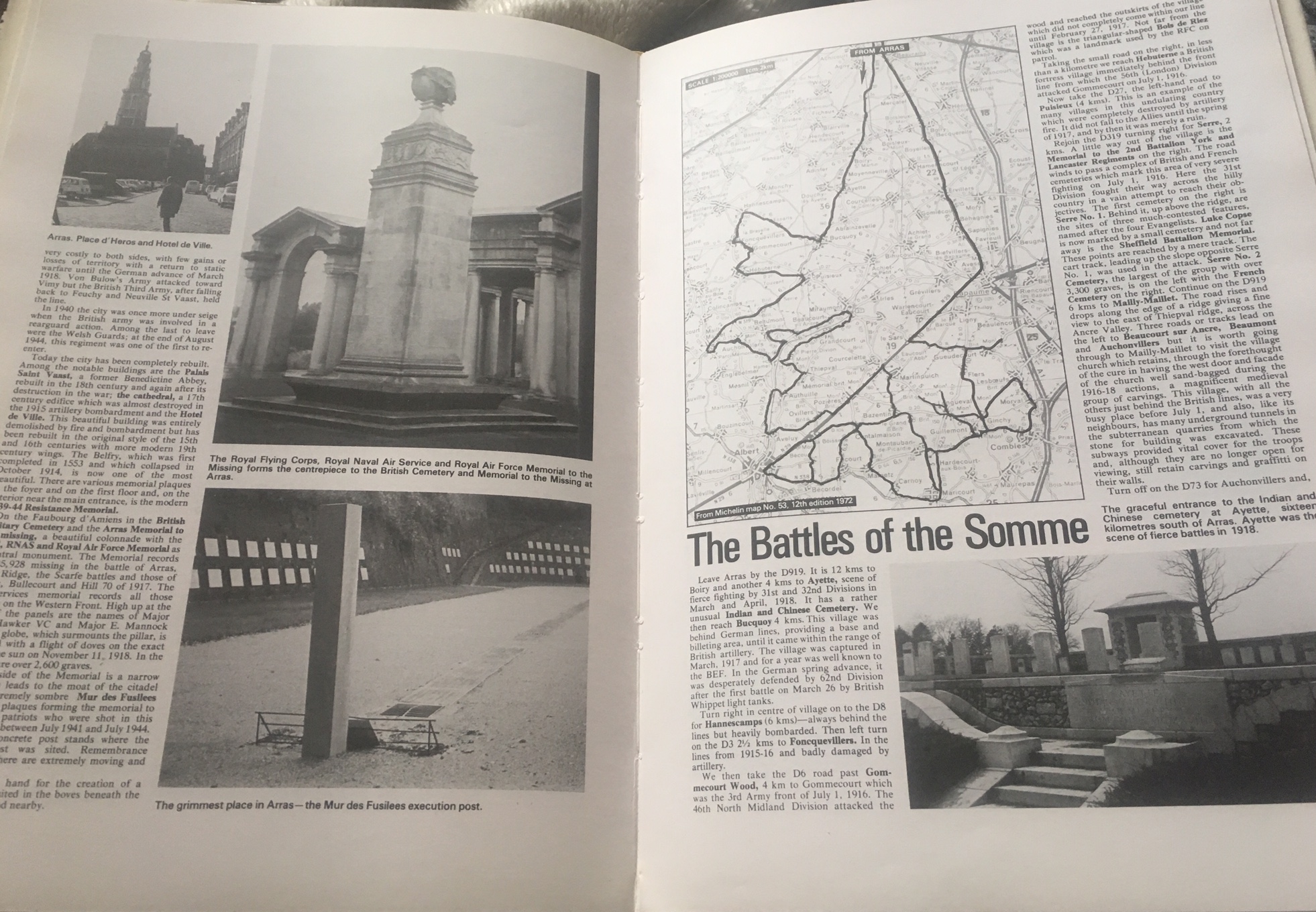 Looking at Before Endeavours Fade – Rose Coombs – Critical Research Journal